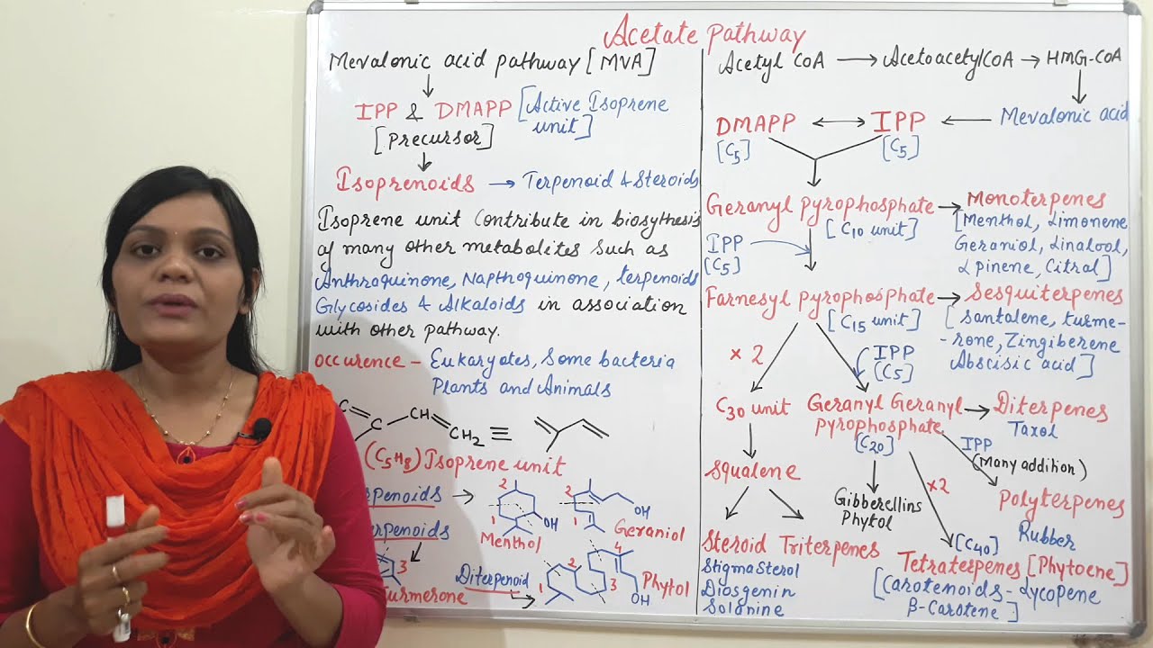 Class (05) = Acetate Pathway (Part 02) | Acetate Mevalonate Pathway ...