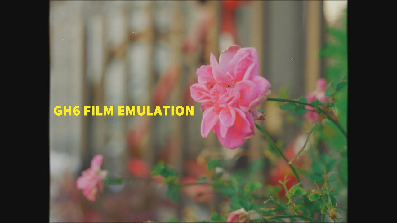 Film Emulation | LUMIX GH6 - YouTube