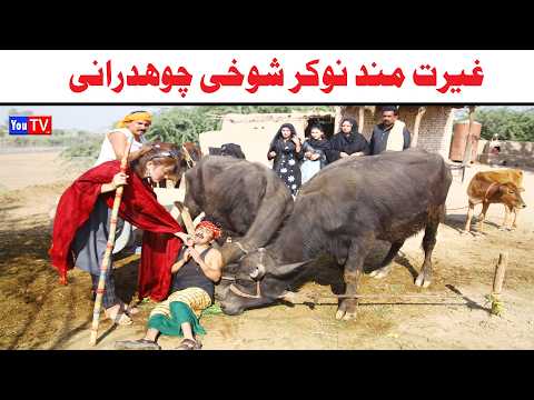 Number daar Ghairat Mand Nokar Chohdhrani New Funny Video | Most Comedy Funny Video | You Tv Hd 2025