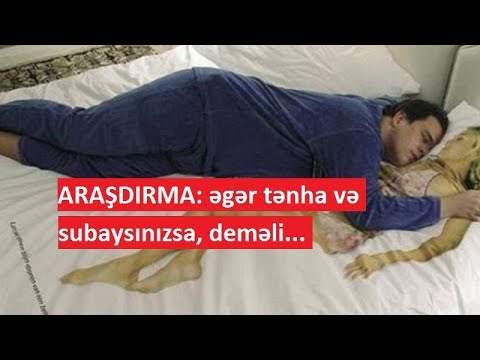 ARAŞDIRMA: əgər tənha və subaysınızsa, deməli...