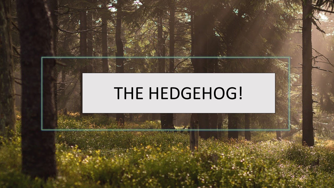 THE HEDGEHOG- A poem by Chesspoet64 - YouTube