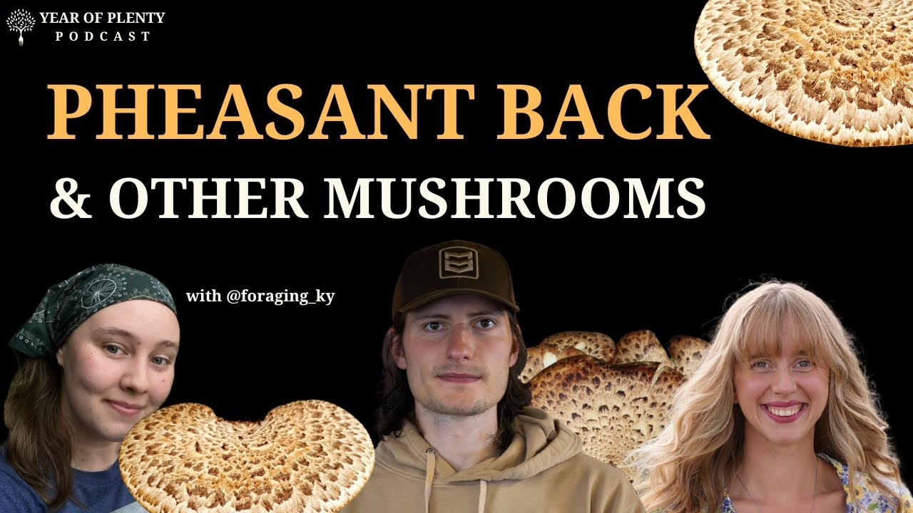 Find These Mushrooms Before Spring Ends! - YouTube