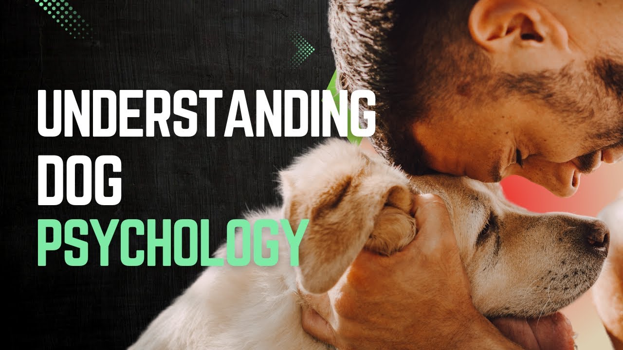 Unlocking the Secrets of Dog Psychology: Understanding Your Furry ...