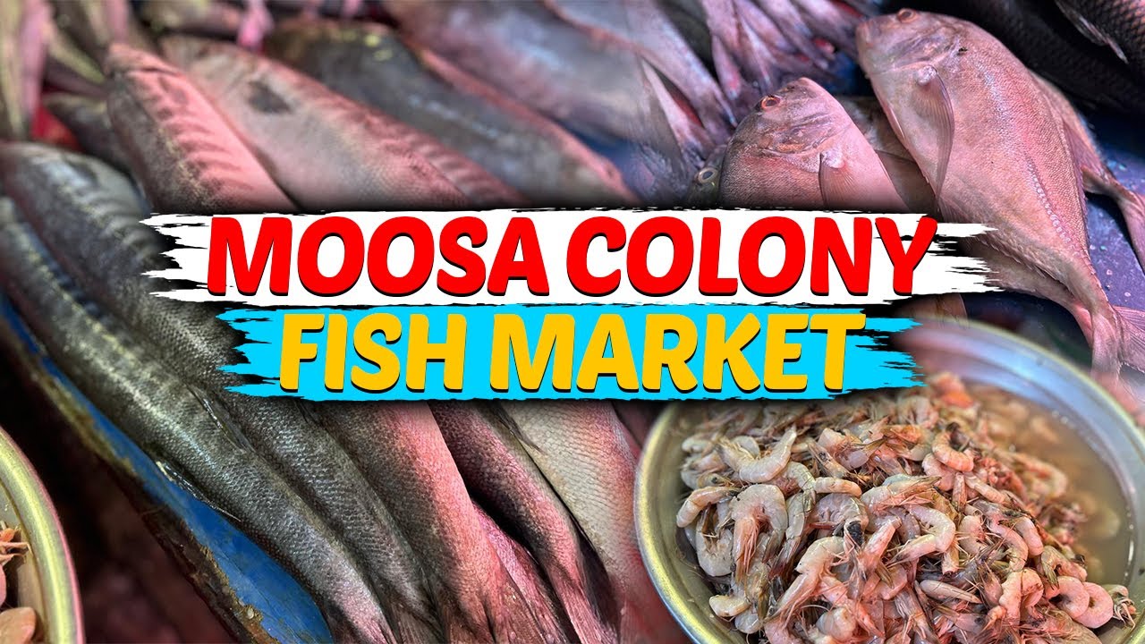 Oldest Fish Market in Karachi | Moosa Colony Fish Market | Rehman Vlogs ...