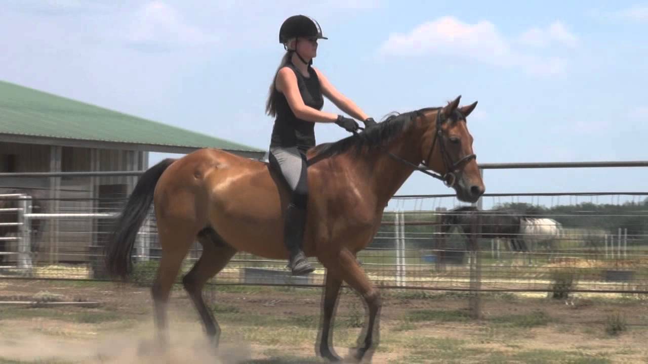 bareback raws - YouTube