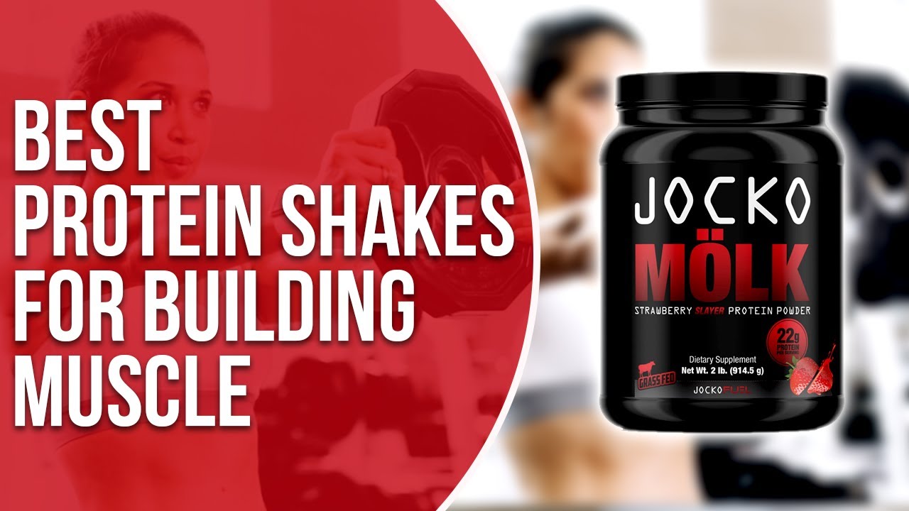 Best Protein Shakes for Building Muscle: An Expert Guide (Our Standout ...