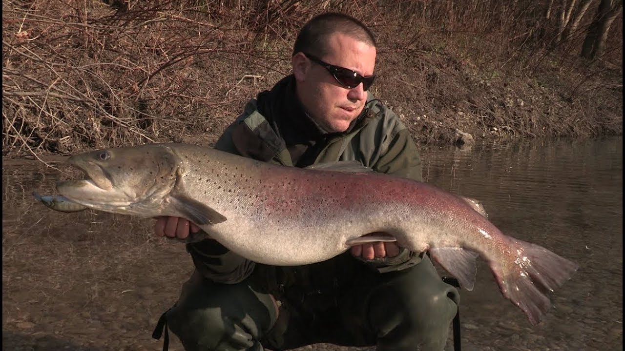 Slovenia - Finding Sulc - trailer - YouTube