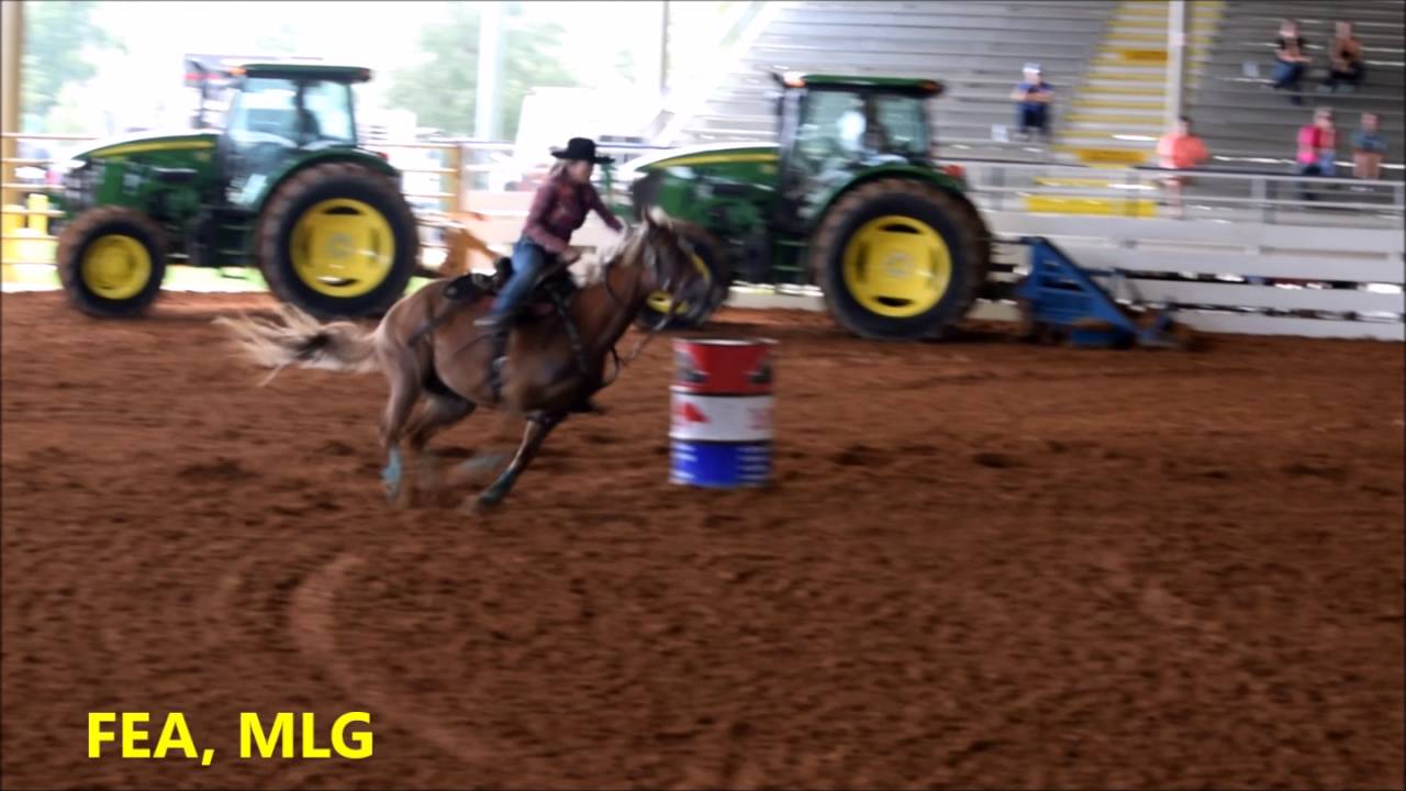 Lois Shelley w/Flit Bars Spiderman & Lena's Smart Tivio - YouTube