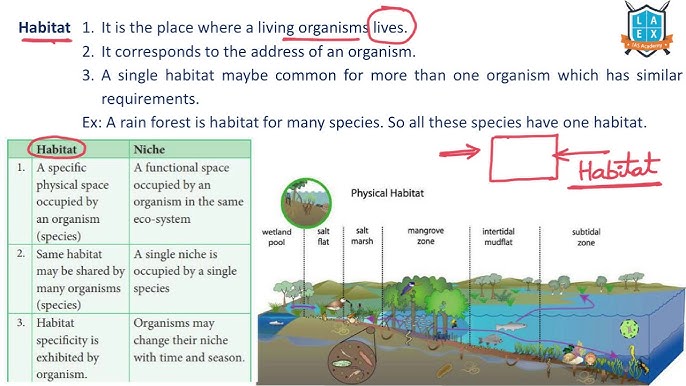 Ecological Niche Diagram