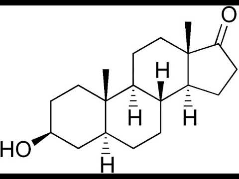 Epiandrosterone | Wikipedia audio article - YouTube