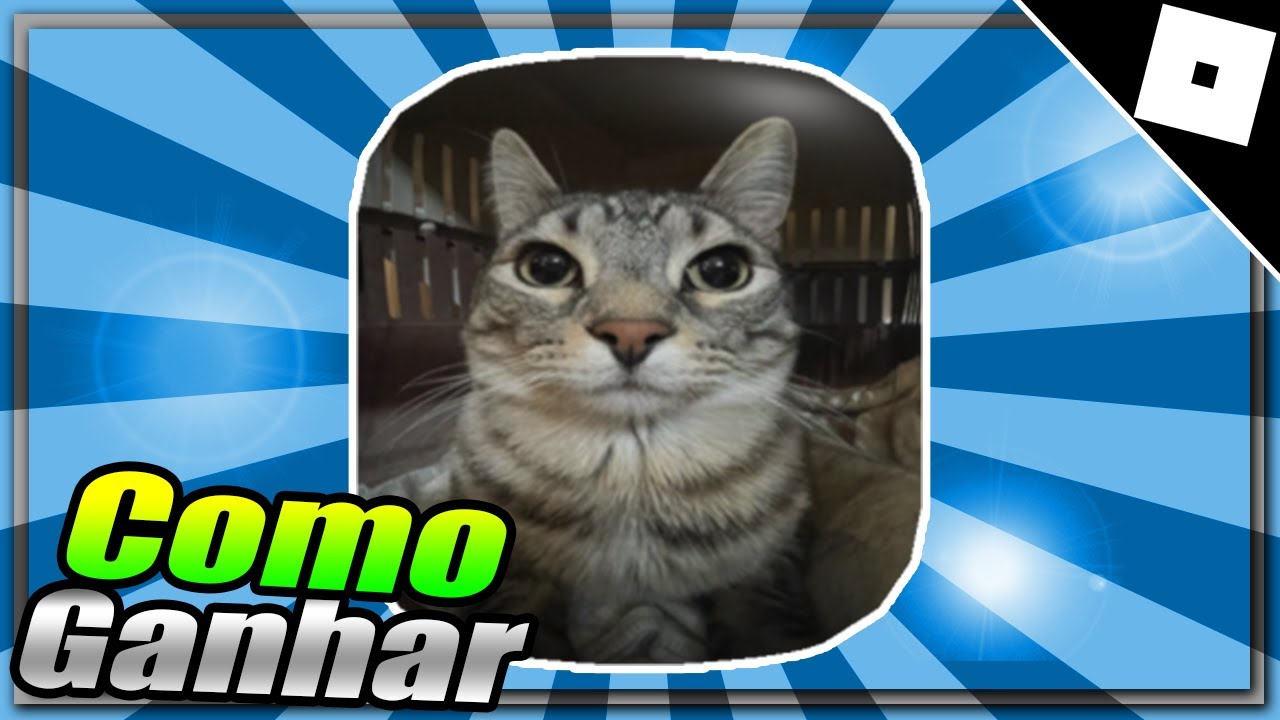 Roblox Bundle cat head UGC FREE - YouTube