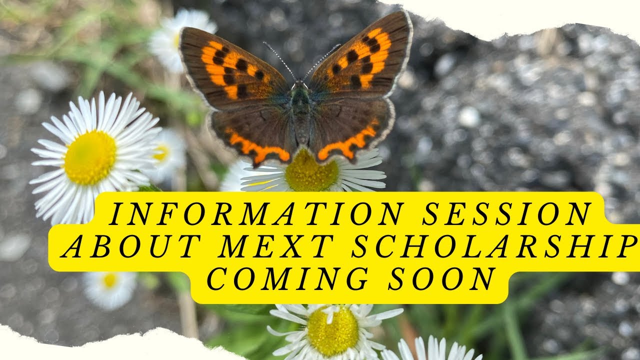 Information Session About MEXT scholarship Coming Soon 🎉 #japan #viral ...