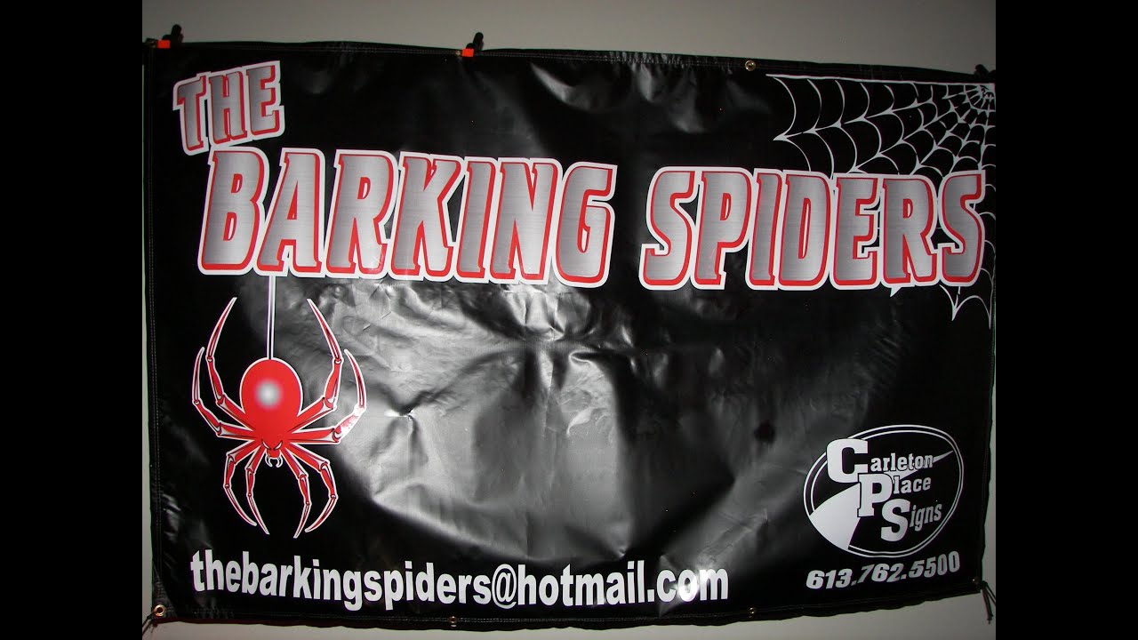 The Barking Spiders Mar25 2015 New Orleans isSinkin - YouTube
