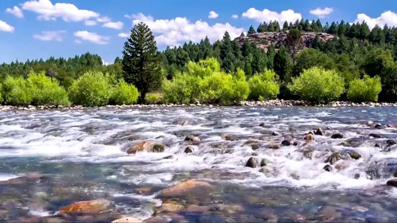 video background river - YouTube