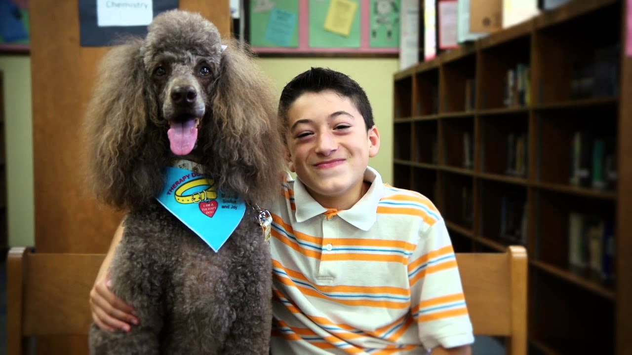 Sanders Fund Supports Paws to Read Program - YouTube