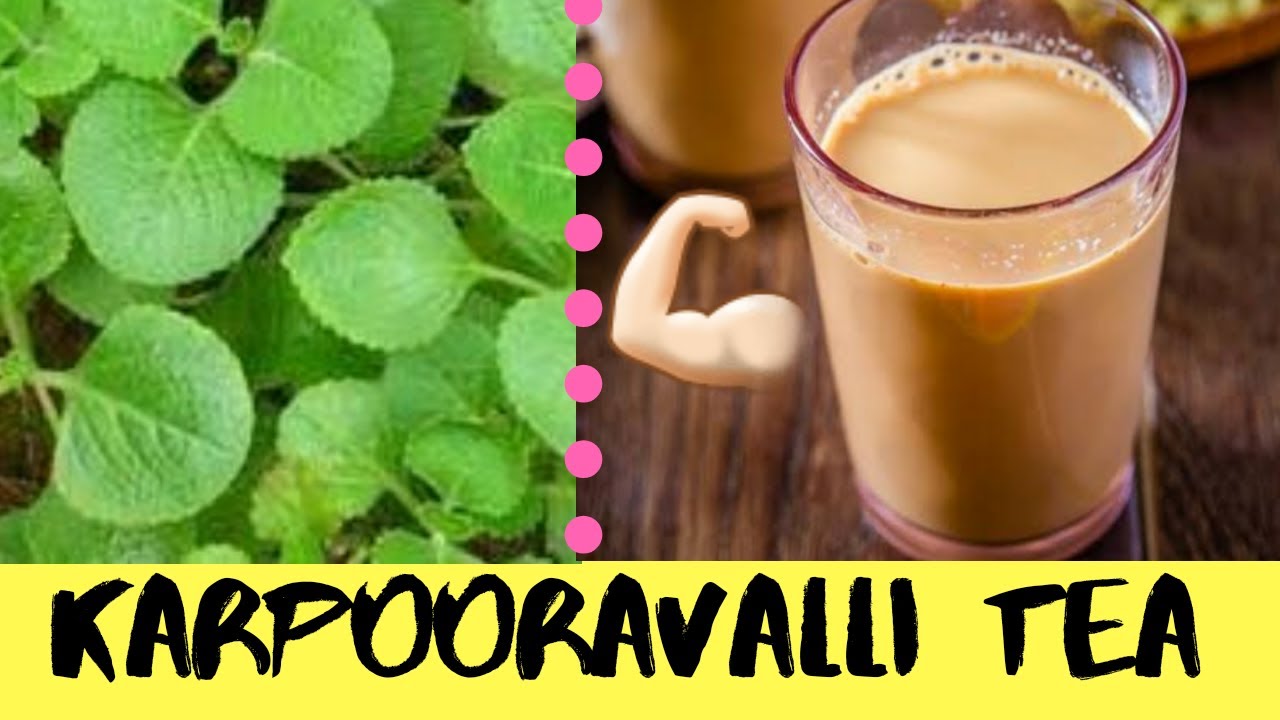 Oregano masala tea. 😋😋🍵🍵 - YouTube