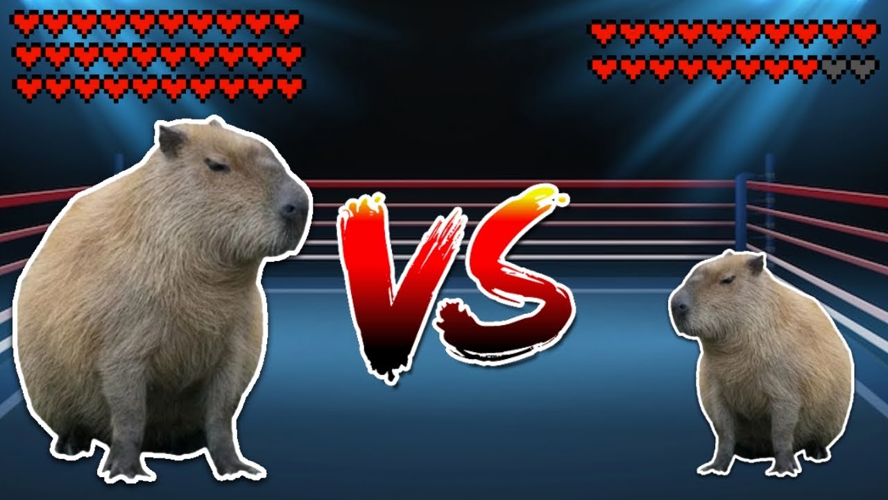 Giant Capybara vs Capybara! Meme battle - YouTube