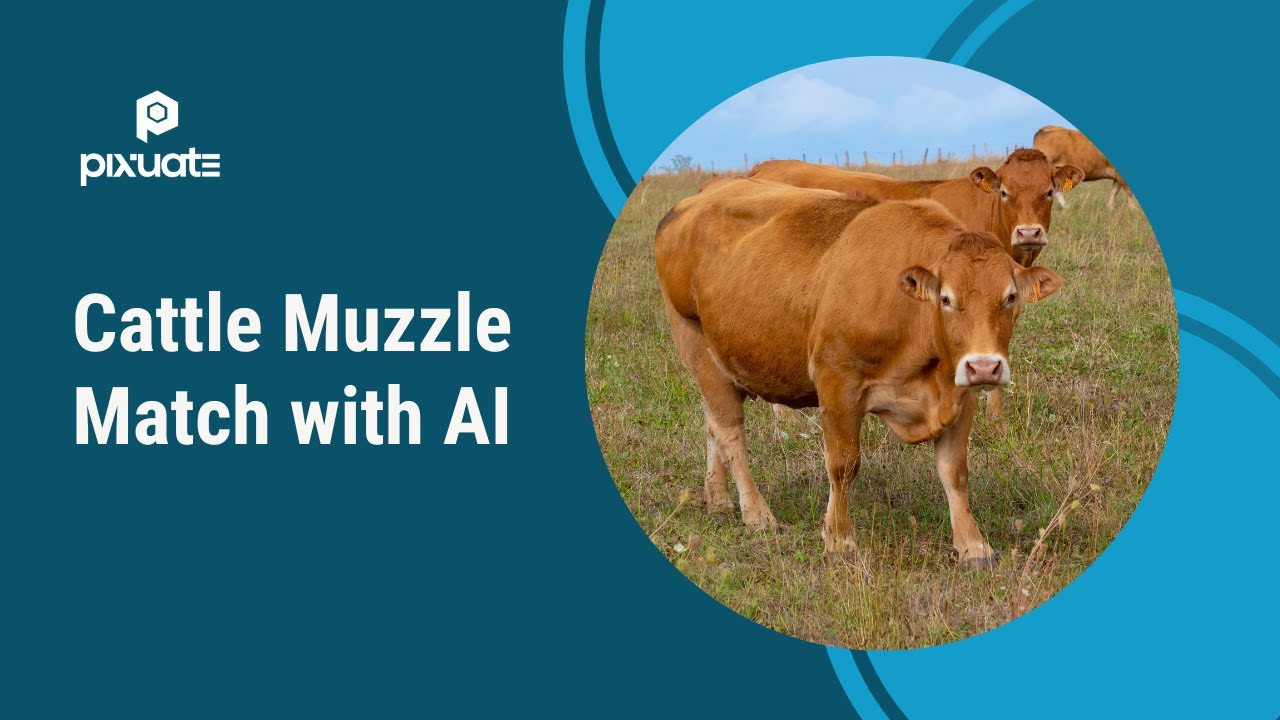 Elevate Livestock Management with Gomukh: A Unique Cattle Muzzle ...