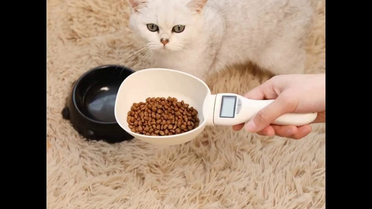 Pet Food Measuring Scale Cup For Dog / Cat / Digital Scale Spoon / LCD ...