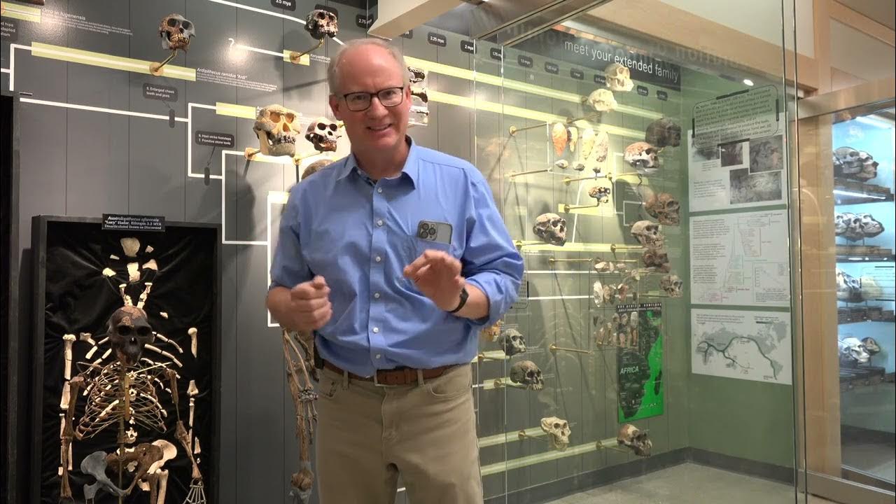 Intro to Human Evolution Display - YouTube