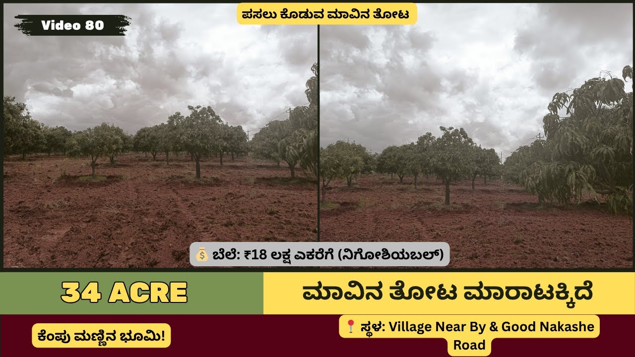 34 Acre Mango Farm for Sale | Irrigation, Borewells, Fencing & Small ...