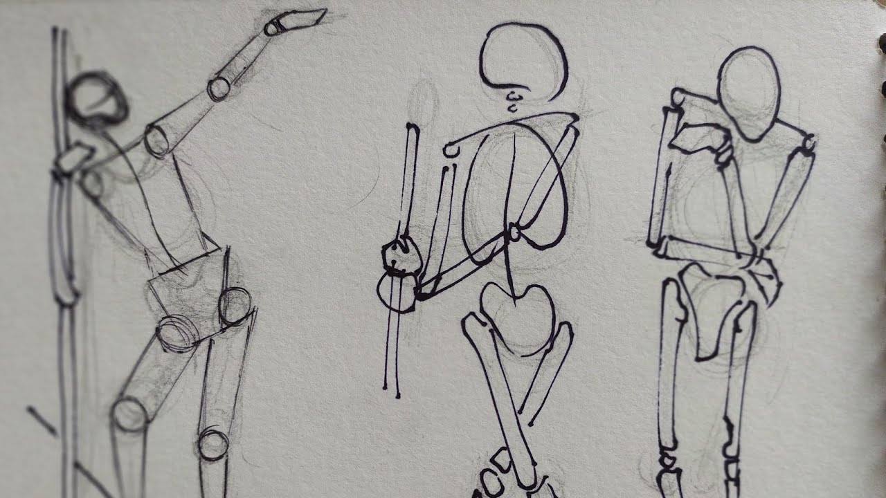 figure drawing basic bone and muscle - YouTube