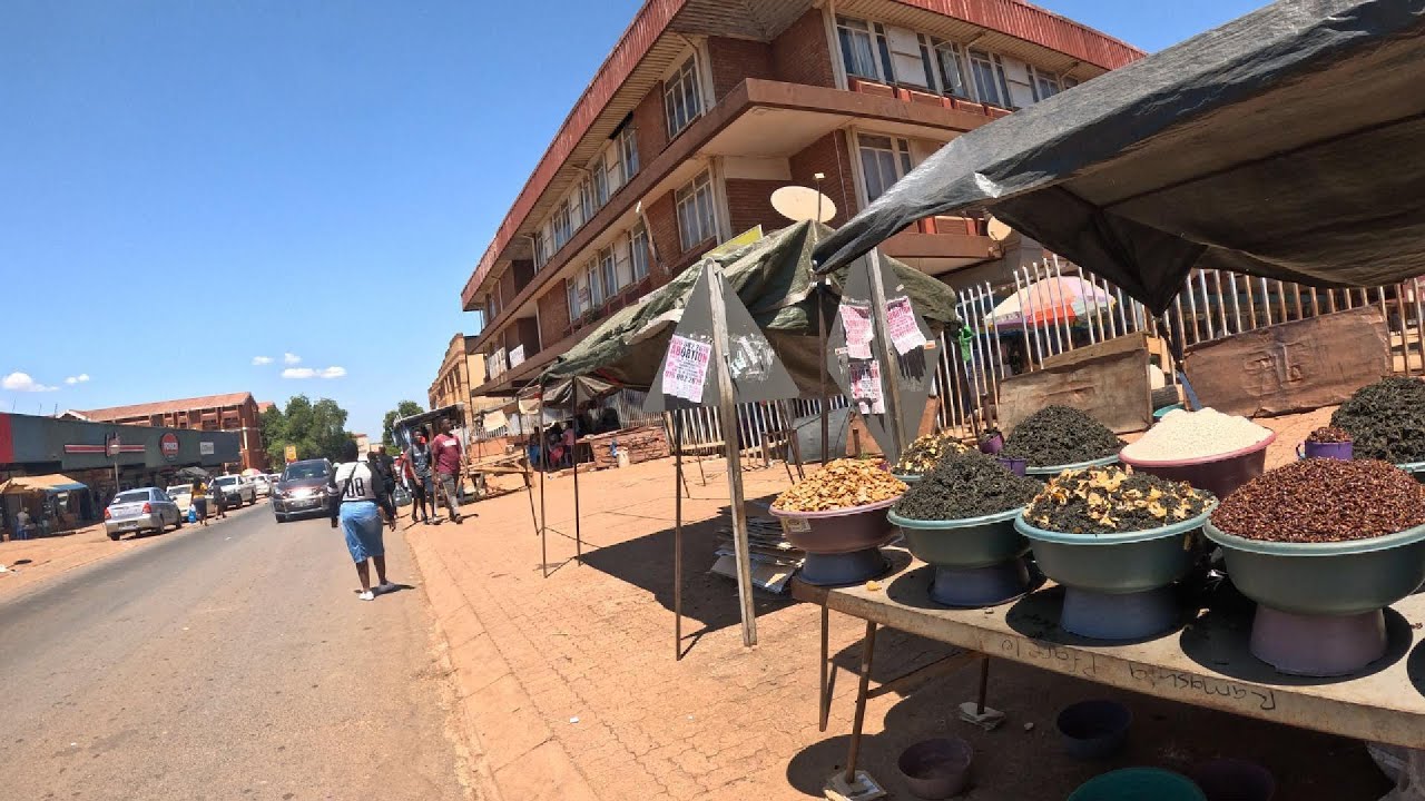 THE HEAD OF AN ELEPHANT_This is Thohoyandou In Venda_The pride of the ...