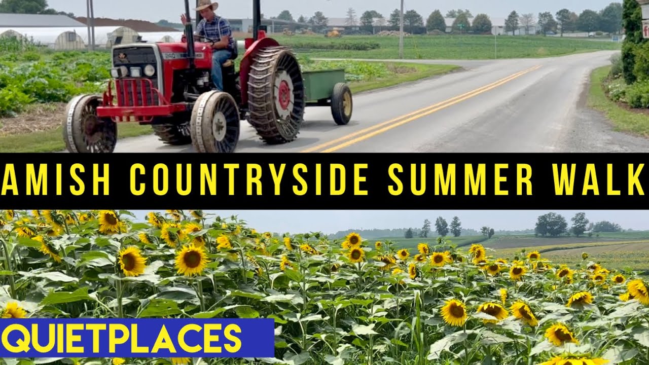 Amish Countryside Summer Walk! Lancaster County Pennsylvania! - YouTube