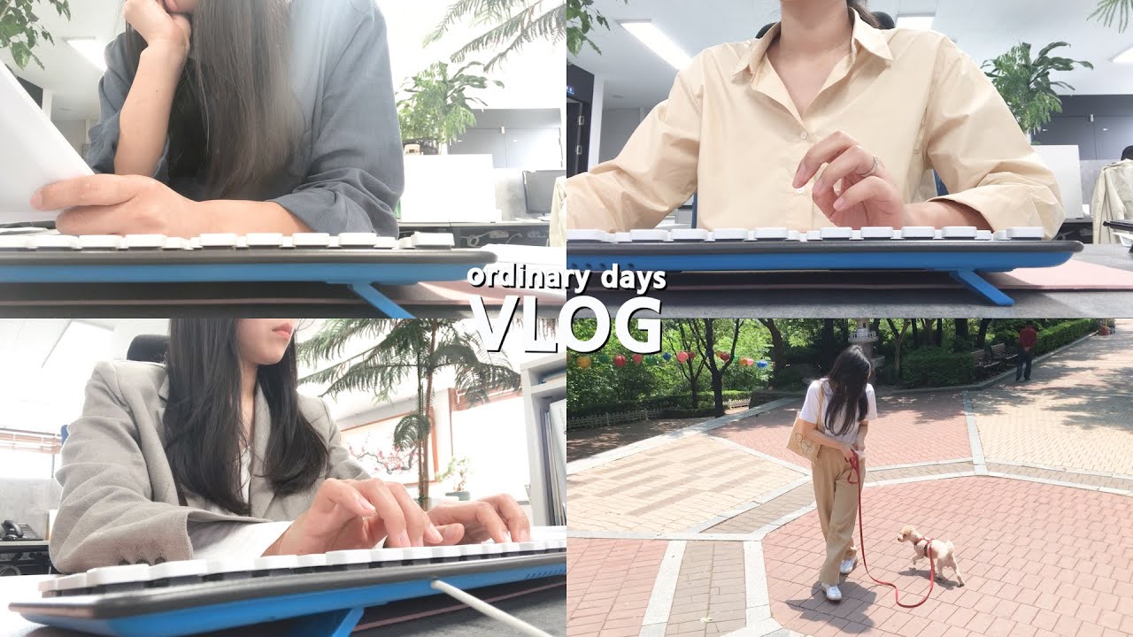 Vlog 직장인 브이로그 중소기업 사무직 경리·총무 과장 17년차 직장인의 일주일 일상 사장님의 레이더망을 피해라