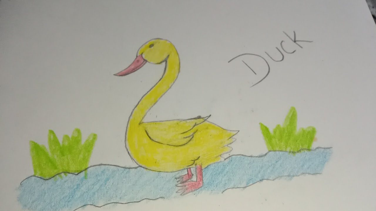 How to Draw a Duck from Number 2 | Easy Drawing - YouTube