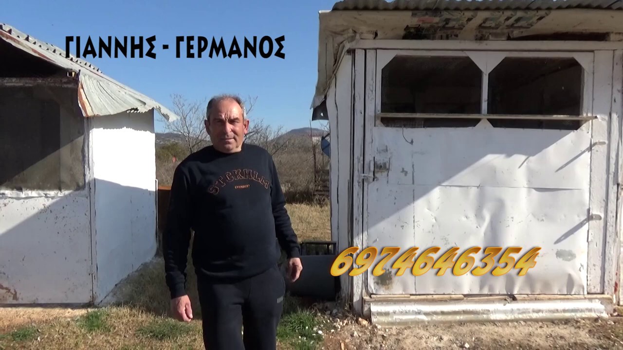 ΣΥΛΛΟΓΟΣ ΘΕΑΜΑΤΙΚΩΝ ΠΕΡΙΣΤΕΡΙΩΝ ΝΟΜΟΥ ΔΡΑΜΑΣ 2020 ΓΕΡΜΑΝΟΣ - YouTube