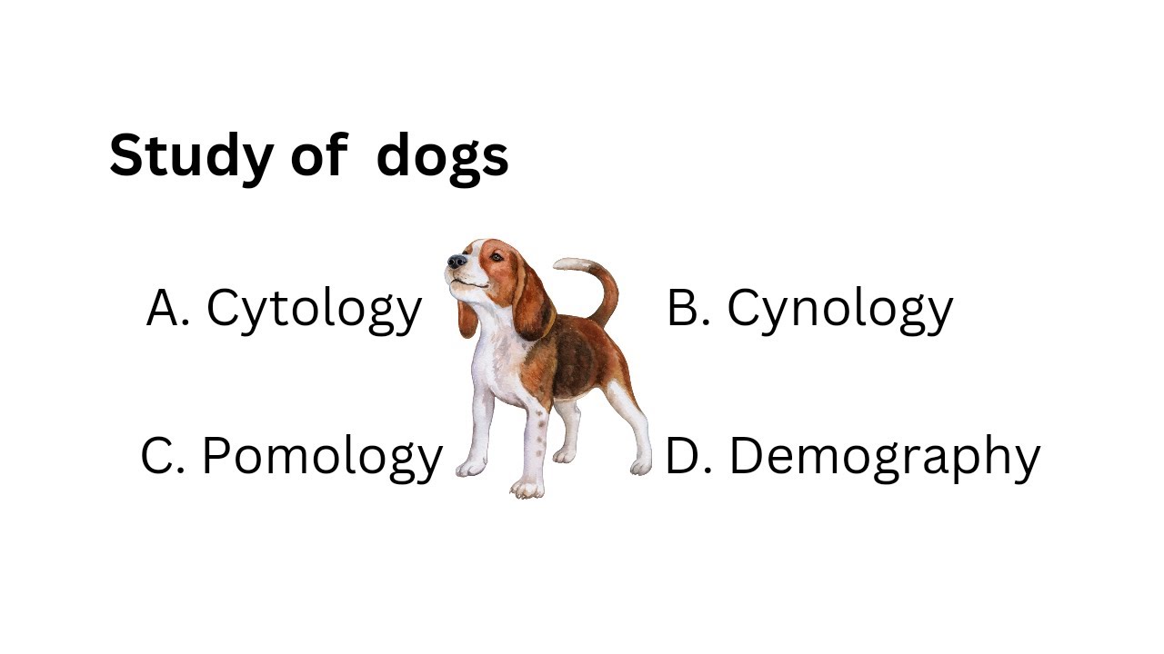 Study Of Different Fields - 6 // Different Types Of Studies And Their ...