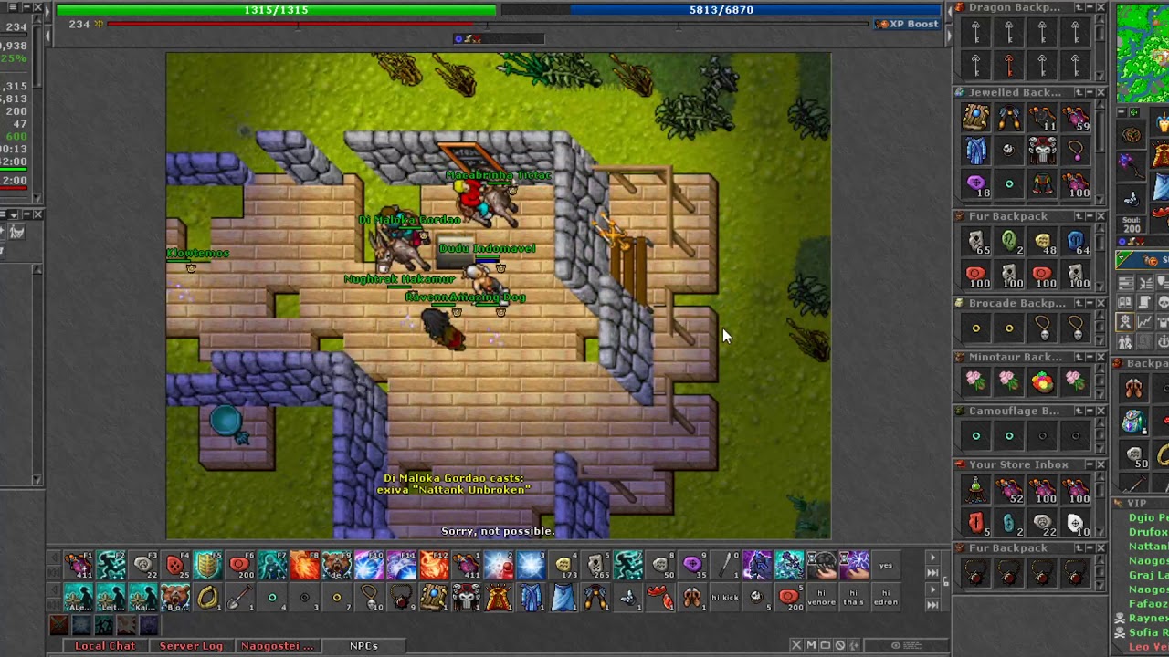 Tibia Macabra 320 Inicio do Massacre - YouTube