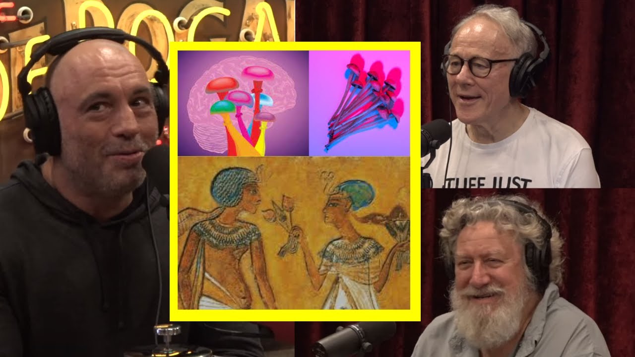 Joe Rogan: SHROOMS made DEMOCRACY, RELIGION cure PTSD!!!! AMAZING ...