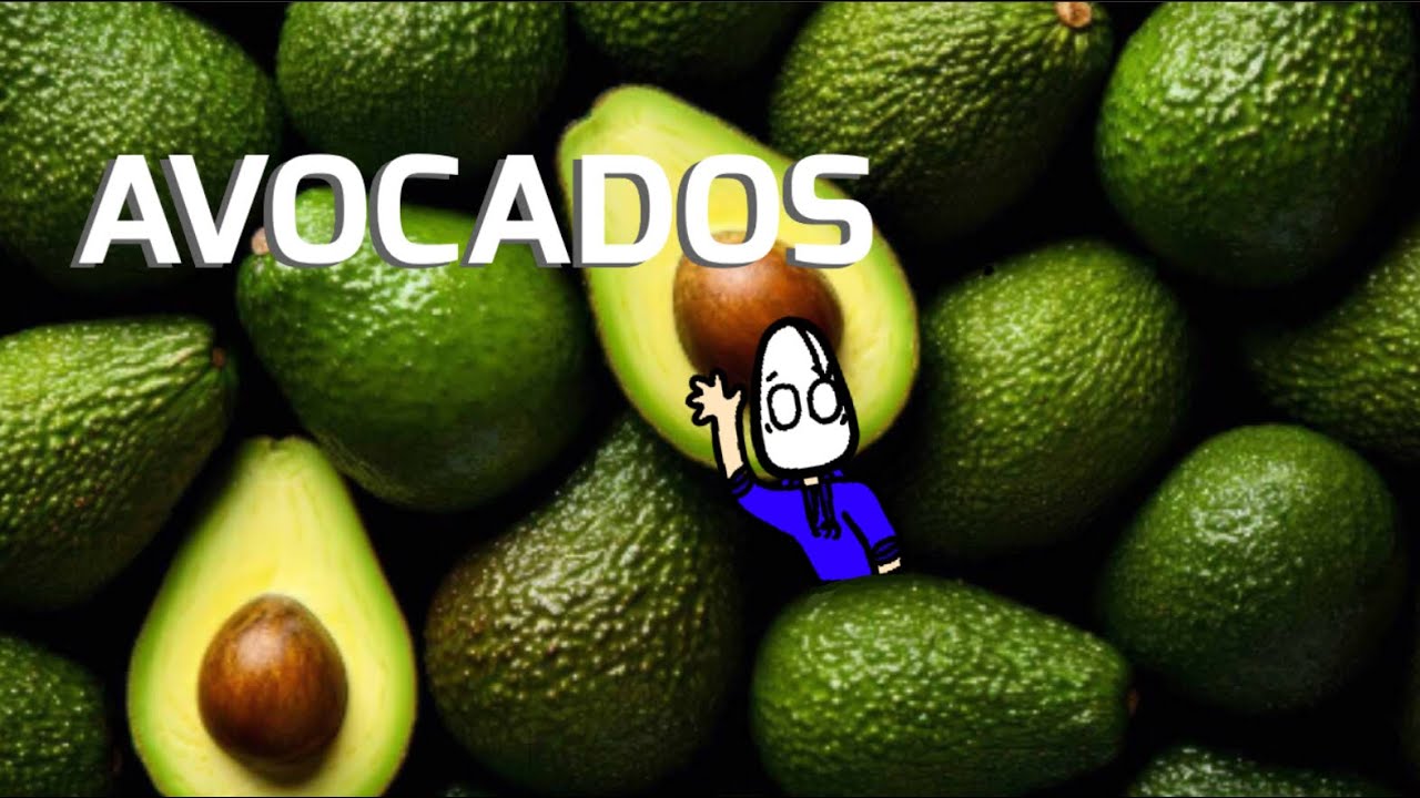Avocados - YouTube