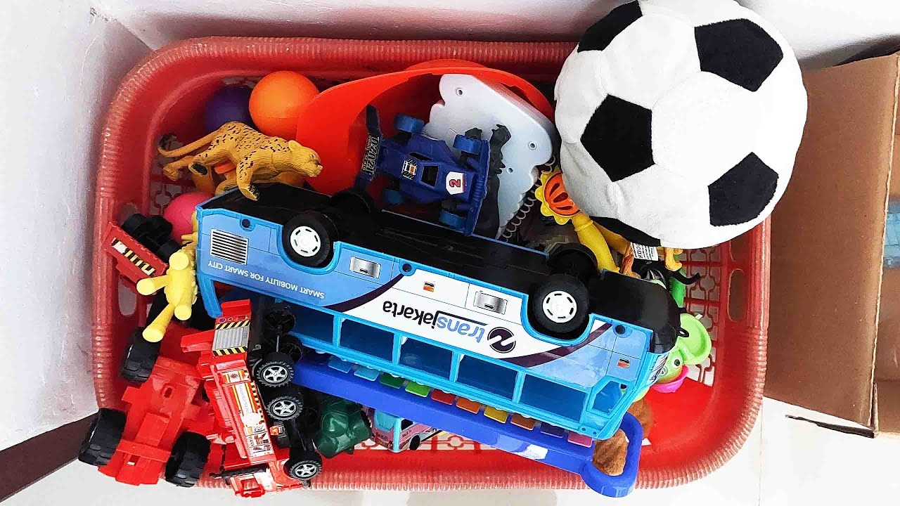 Mengumpulkan Bis Tayo, Macan, Boneka, kereta, Mobil, Bis biru, Tank ...