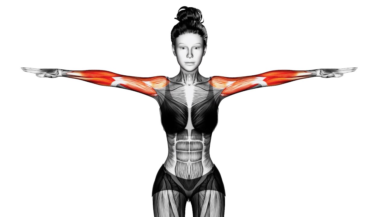 10 Mins Toned Arms Workout | No Equipment - YouTube