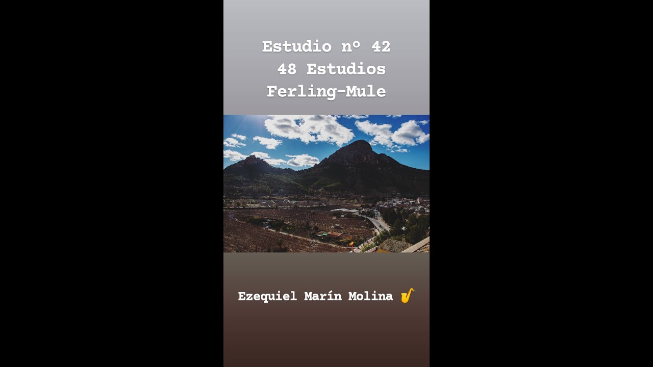 Estudio nº 42, 48+12 Estudios Ferling-Mule - YouTube