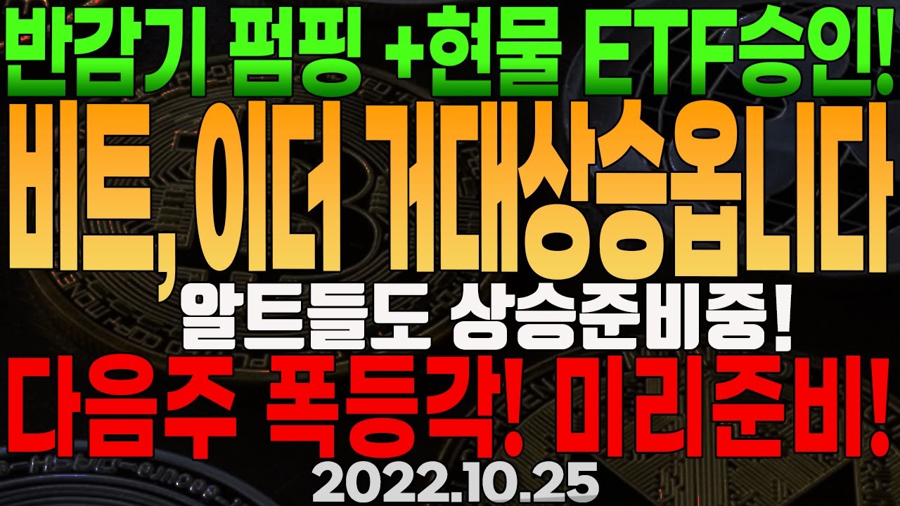 반감기펌핑현물etf승인 비트코인 이더리움 거대상승 온다 Fomc D 7 알트들 상승 준비중 다음주 폭등 미리준비