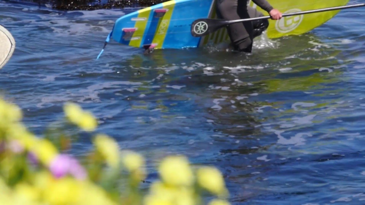 The Rip Stick-Surf Specific Paddle - YouTube