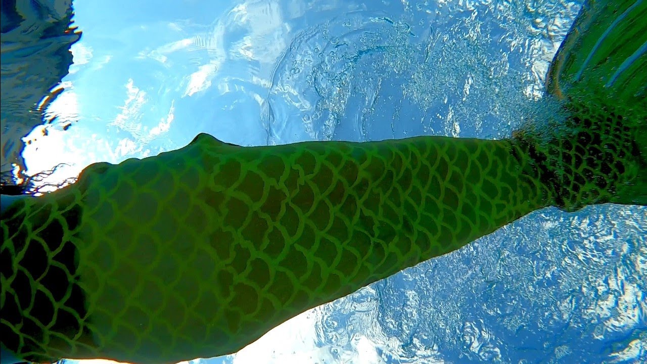 THE MERMAID HUNT | MERMAID SYRENA ENTERTAINMENT FOR PARTIES EVENTS | NC ...