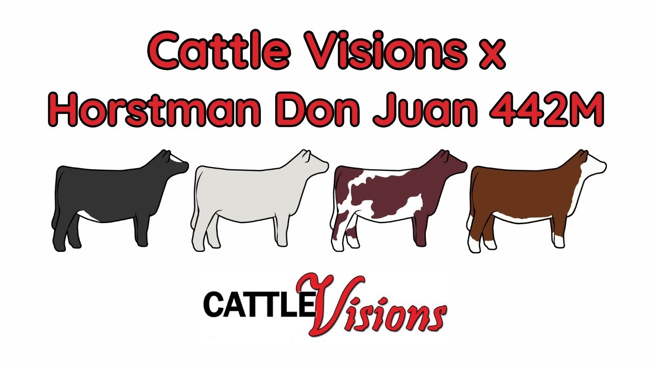 Horstman Don Juan 442M - YouTube