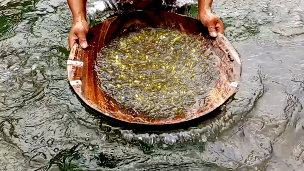 PENEMUAN,,HARTA KARUN PALING MULIA & TERMAHAL~RICH SUDDENLY FIND A GOLD ...