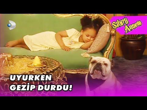 Toprak'ın Uyurgezer Olduğunu Herkes Öğrendi! - Sihirli Annem 103. Bölüm