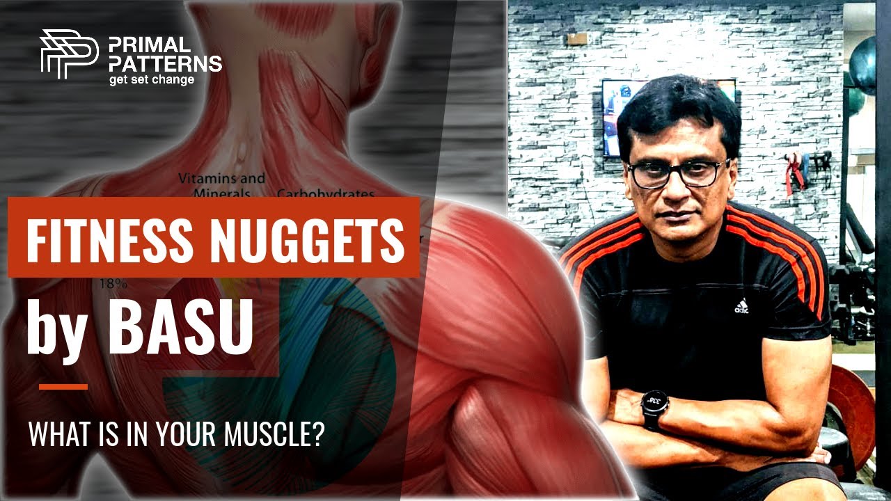 Fitness Nuggets by Basu : What is in your Muscle? - YouTube