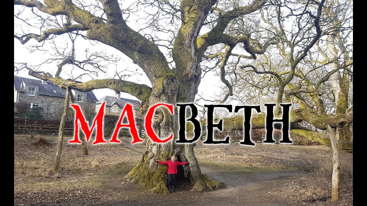 The World Famous Tree Of Macbeth - YouTube
