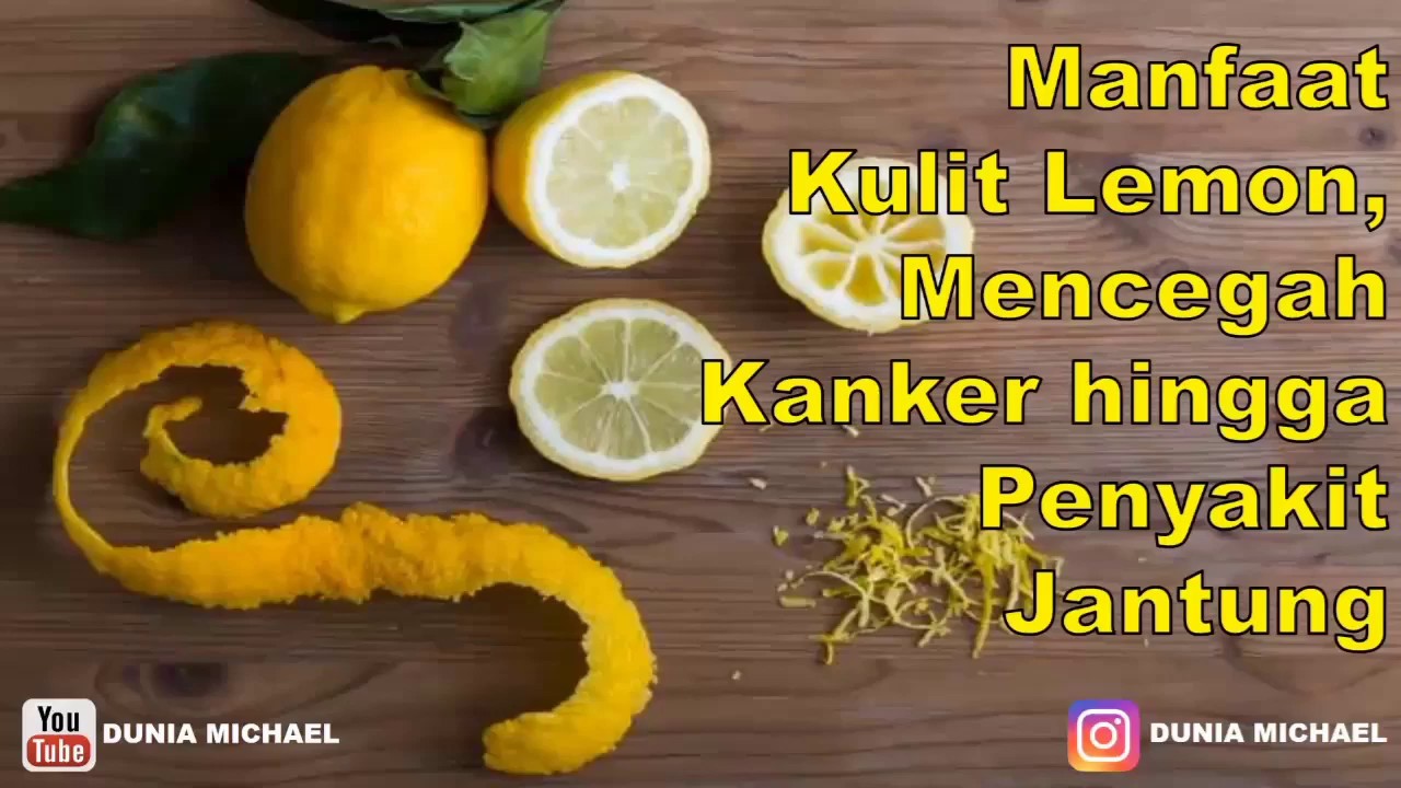 Manfaat Kulit Lemon Mencegah Kanker Hingga Penyakit Jantung - YouTube