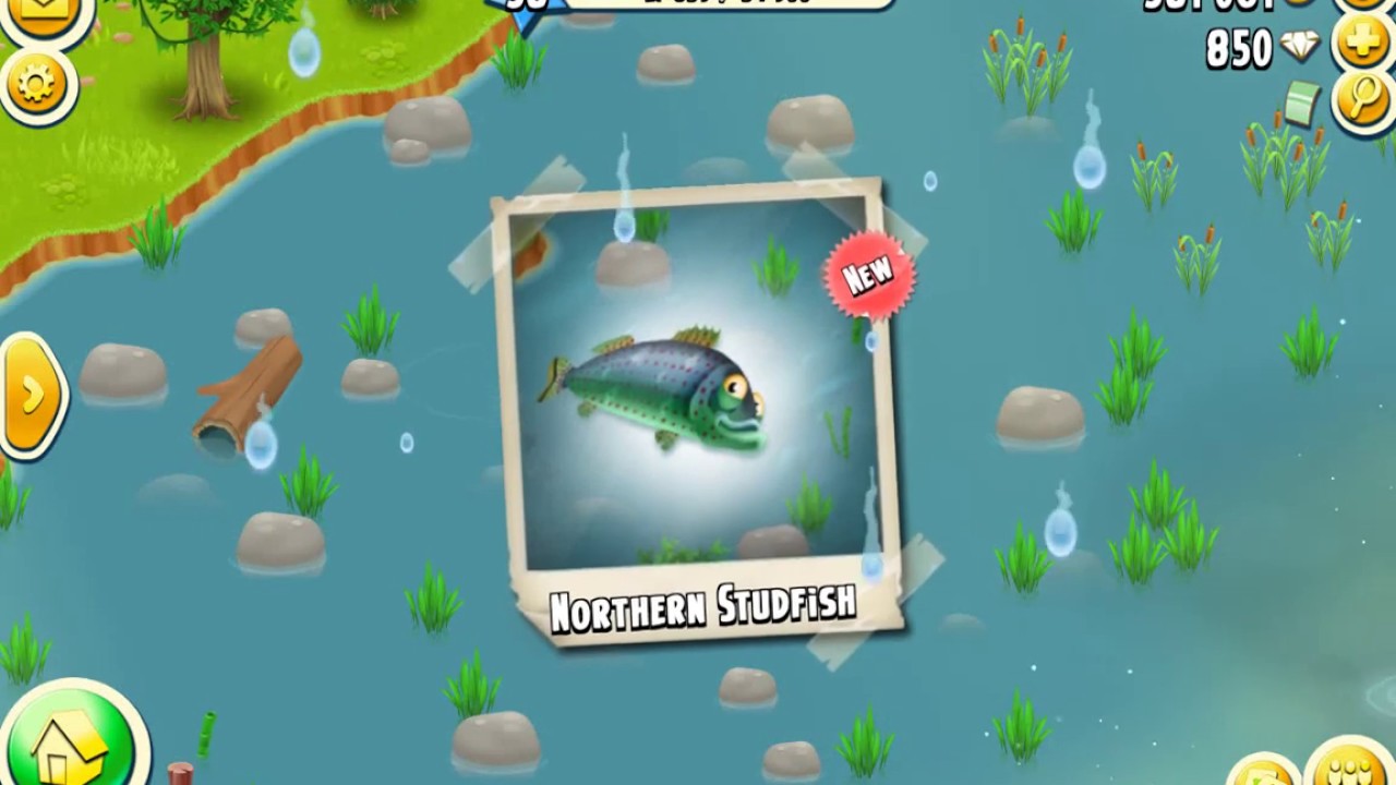 Hay Day - Learn to Catch Northern Studfish - YouTube