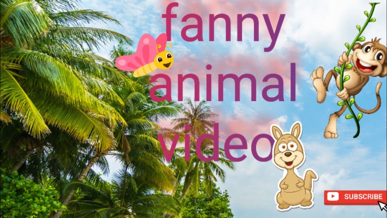 fannu animal video🙏🙏🙏👍👍👍🤣🤣🤣🤣 - YouTube