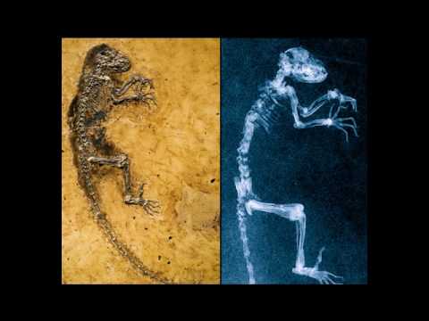 Abiogenesis confirmed - YouTube